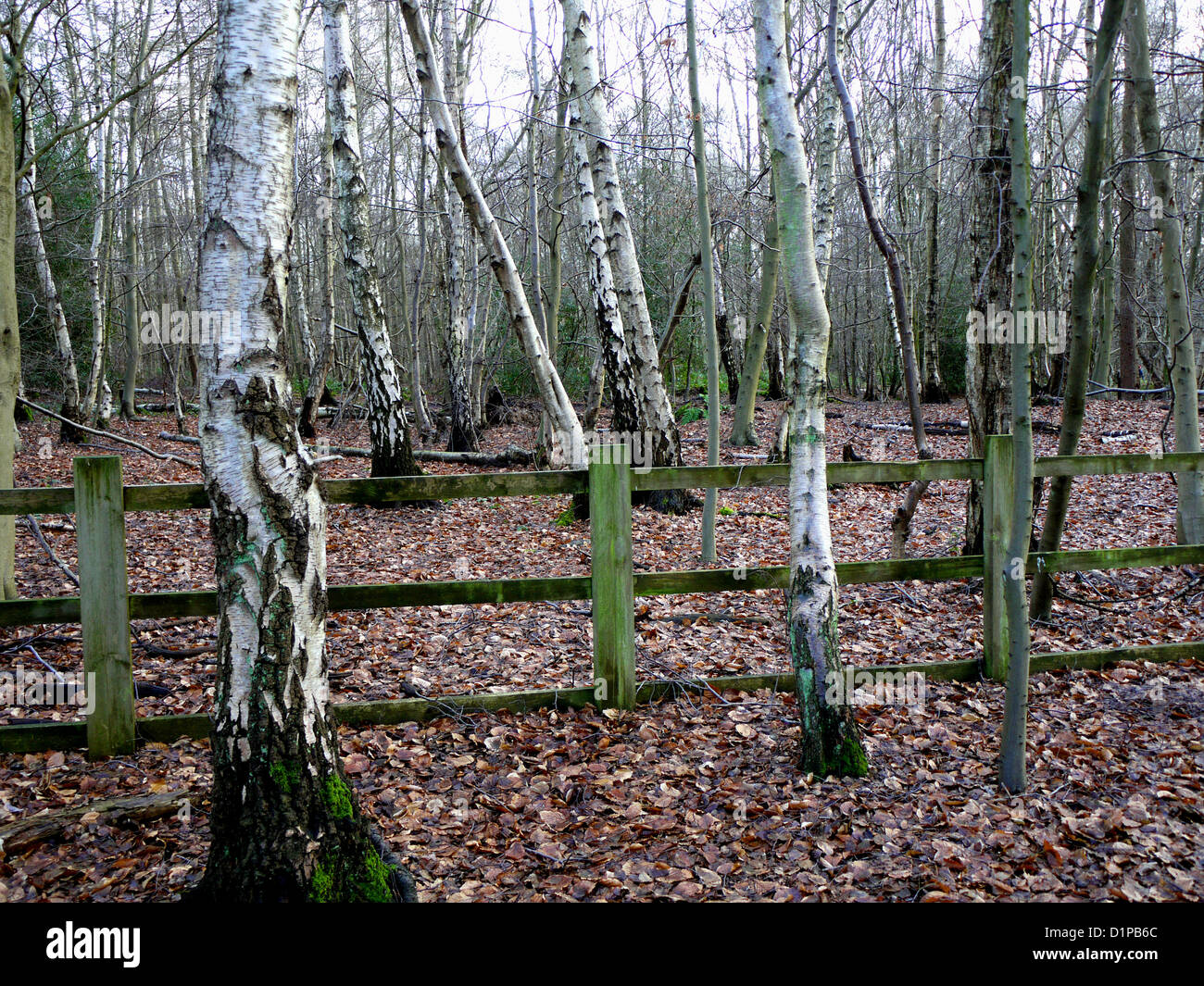 Camlet moat hi-res stock photography and images - Alamy