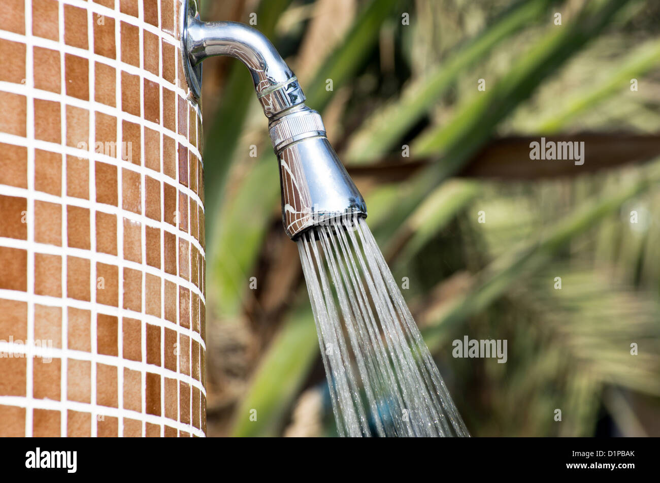 Tropical refreshing shower under palm trees Stock Photo - Alamy