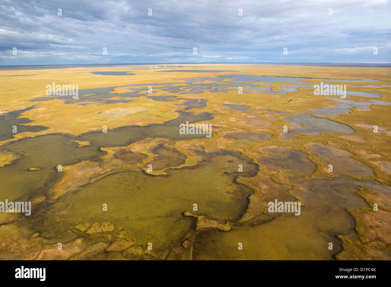 Alaska Arctic tundra potholes, Aerial view, Arctic landscape wilderness ...