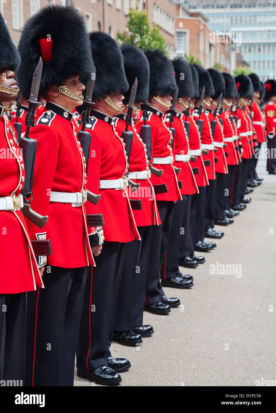 Coldstream Guards On Parade Stock Photos & Coldstream Guards On Parade ...