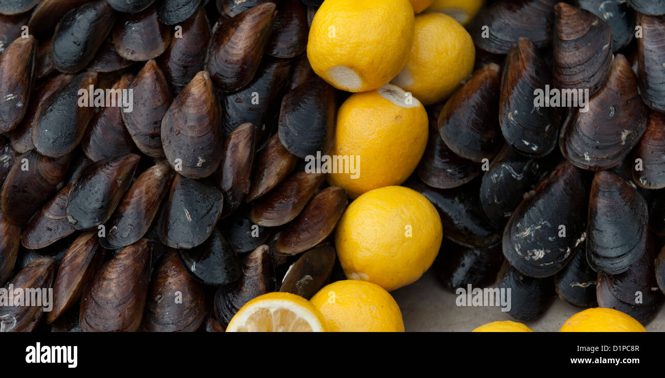 Mussels and lemon at a food stand, Istanbul, Turkey Stock Photo - Alamy