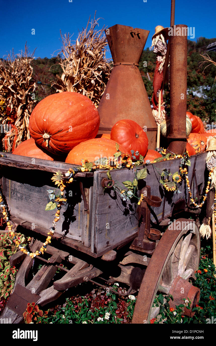 A fall decoration of pumpkins in a wagon, Gatlinburg, Tennessee Stock ...
