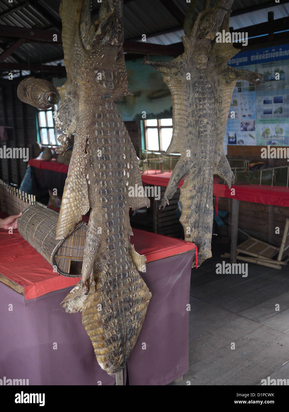 crocodile skin hanging Stock Photo - Alamy