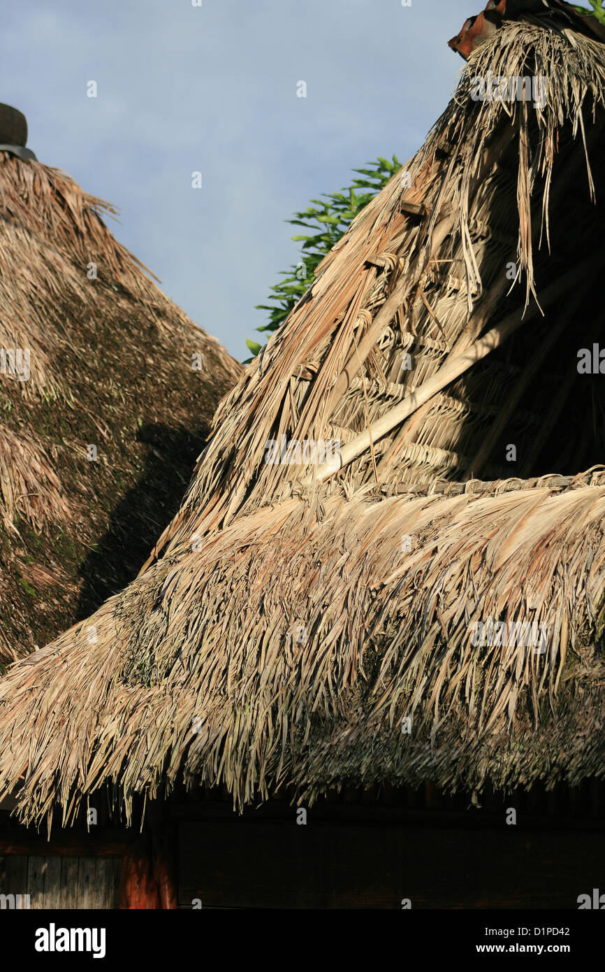 A thatched roof on a building in the rain forest in Tena, Ecuador Stock ...