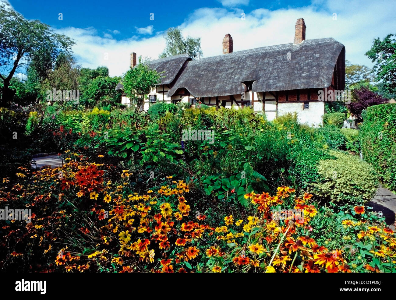 Ann anne hathaways cottage hi-res stock photography and images - Alamy