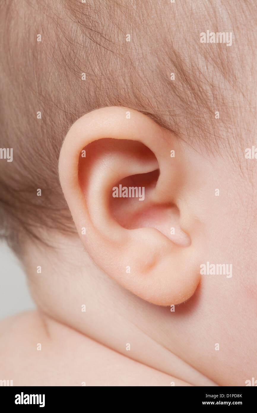 ear of a child Stock Photo - Alamy