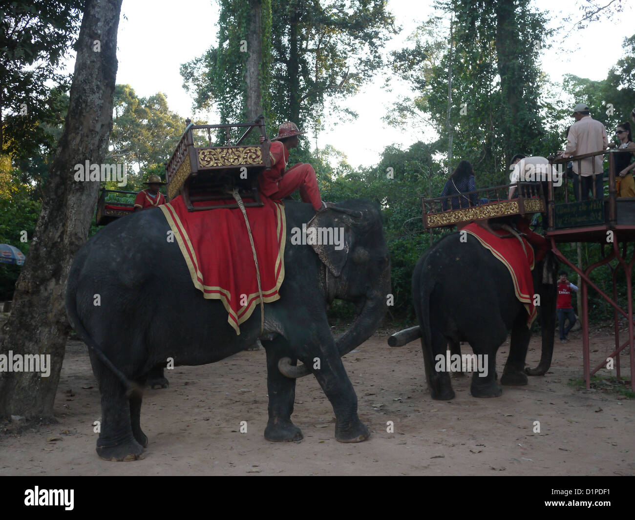 elephant ride Phnom Bakheng Angkor Wat Cambodia Stock Photo - Alamy