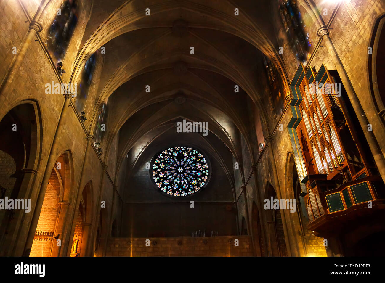 Stained Windows and Rose Window in Old Stone Basilica, St Maria del Pi ...
