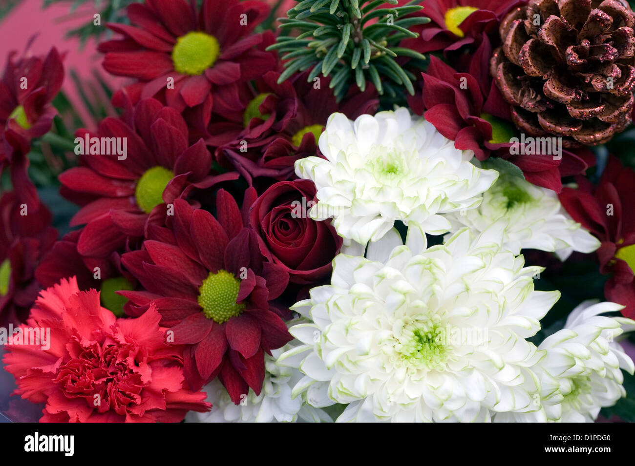 A Christmas themed bouquet of flowers Stock Photo - Alamy