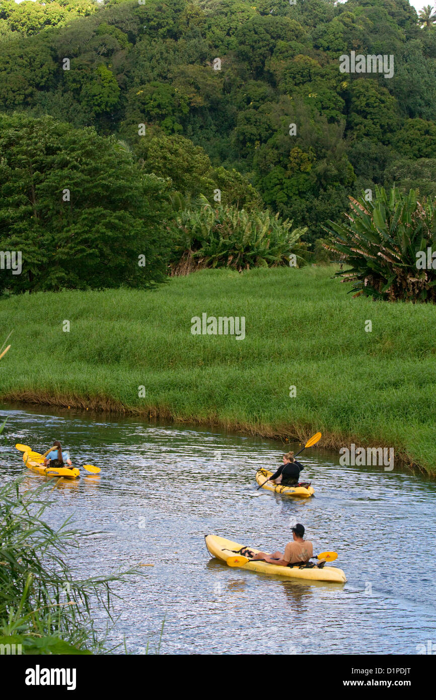 Kayaking the Hanalei River on the island of Kauai, Hawaii, USA Stock ...