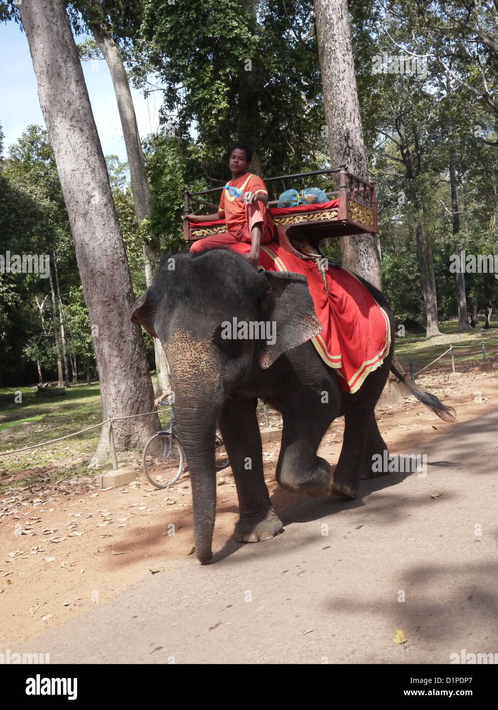 elephant ride Asia Stock Photo - Alamy