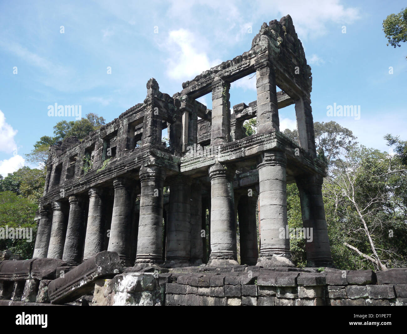 Structures conventionally known as "libraries" are a common feature of ...