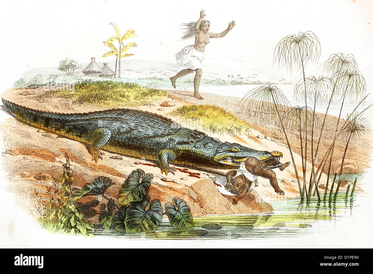 Crocodile hunters hi-res stock photography and images - Alamy