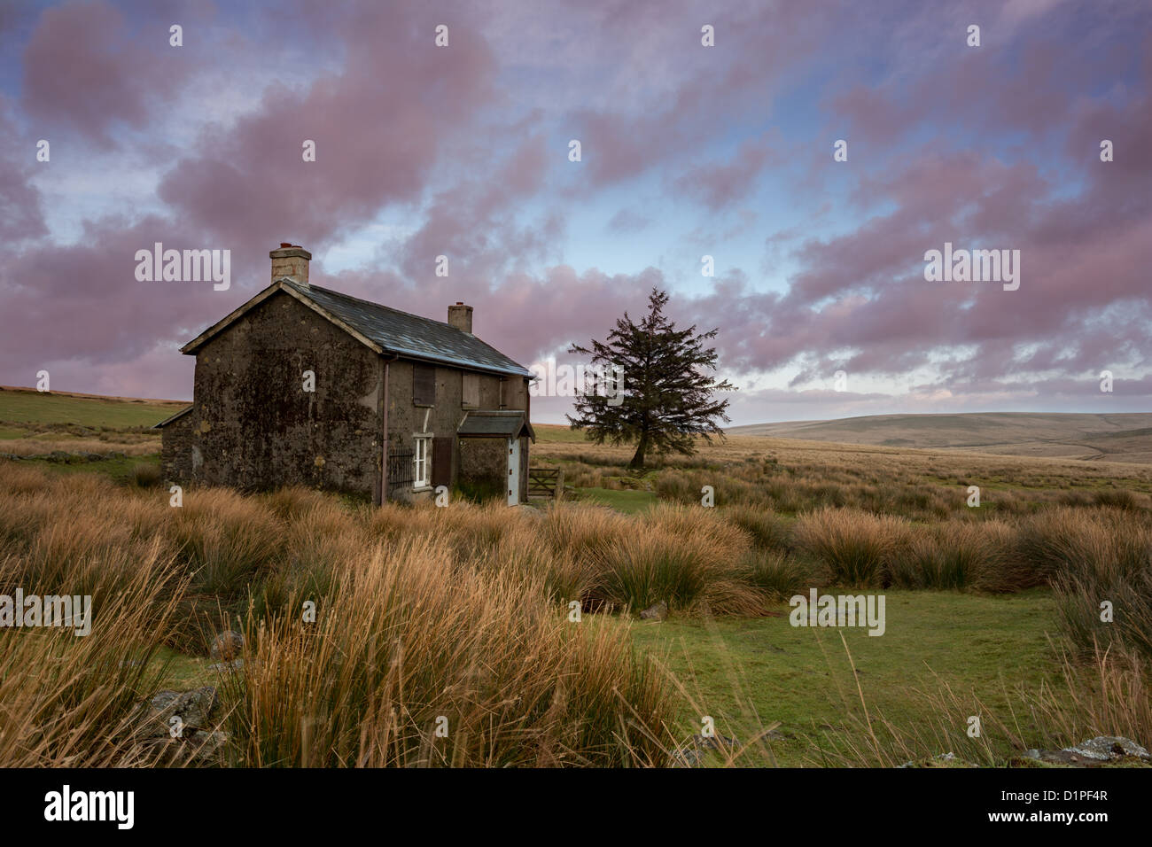 Nuns Cross Farm Dartmoor National Park Devon Uk Stock Photo - Alamy