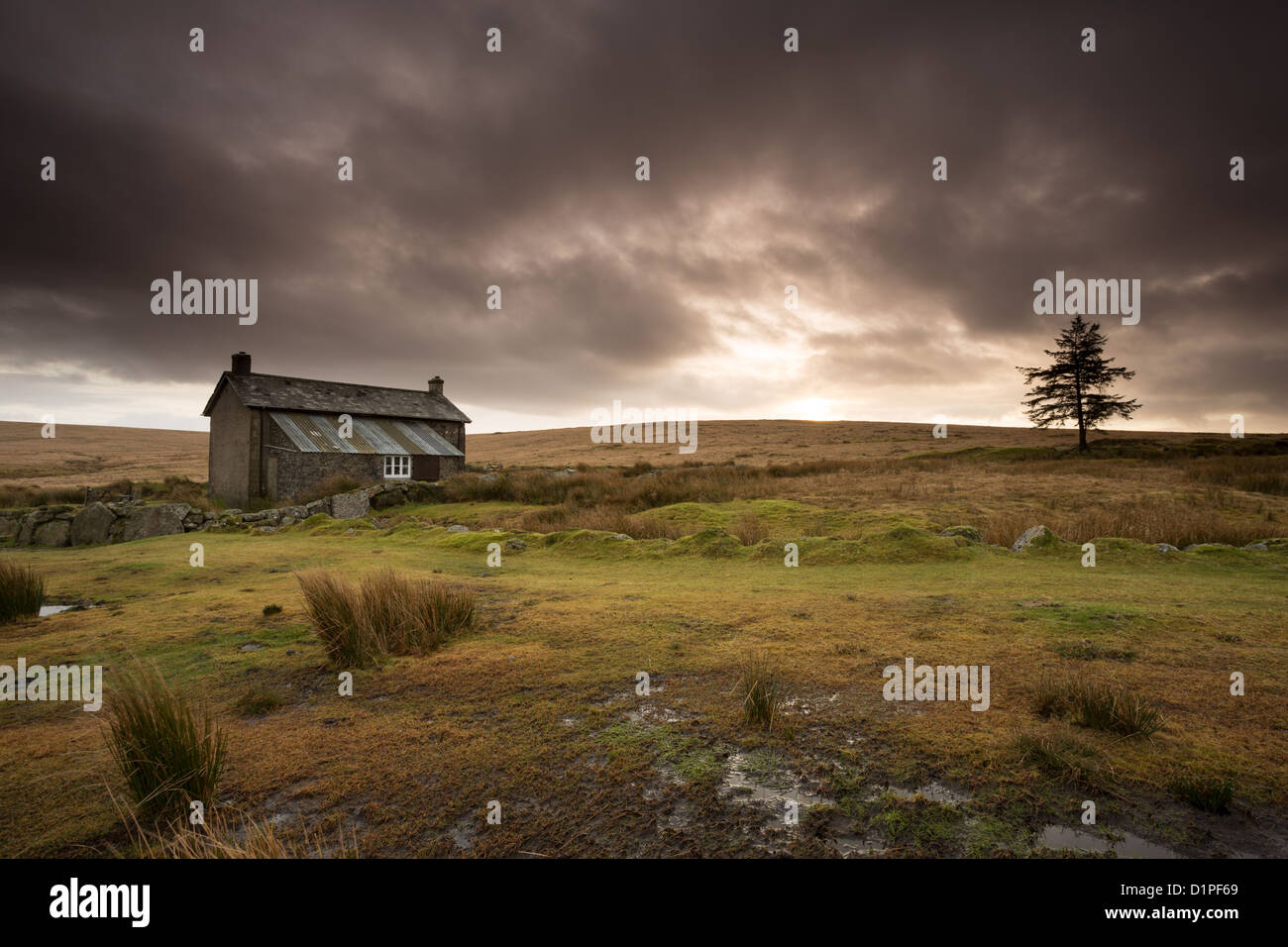 Nuns Cross Farm Dartmoor National Park Devon Uk Stock Photo - Alamy