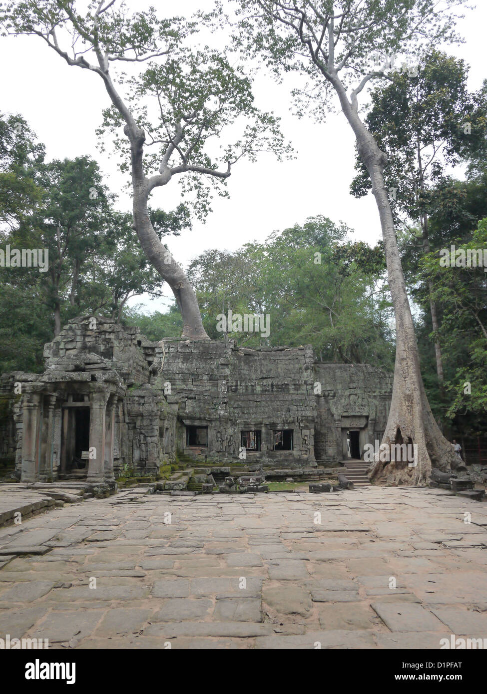 old stone structure abandoned trees Stock Photo - Alamy