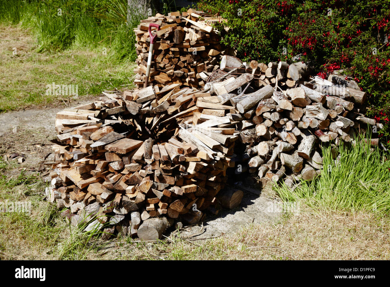 Stacking logs in a circle to dry them better Stock Photo - Alamy