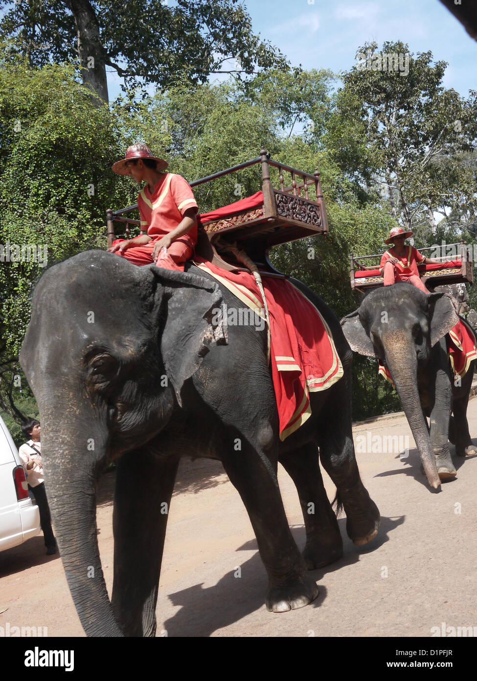 elephant ride Asia Stock Photo - Alamy