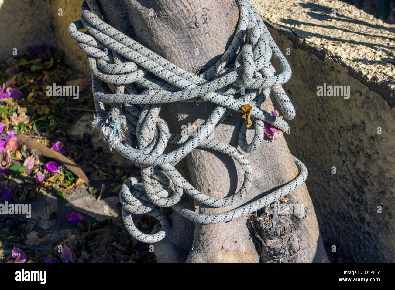 Tangled rope hi-res stock photography and images - Alamy