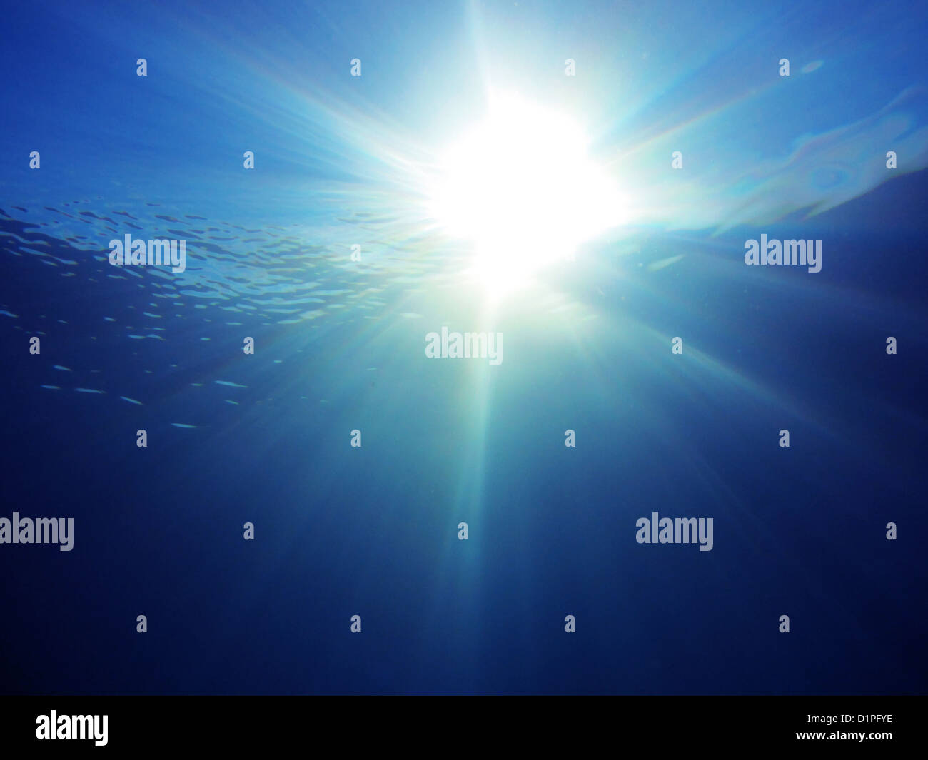 Underwater background with sun reflections Stock Photo - Alamy