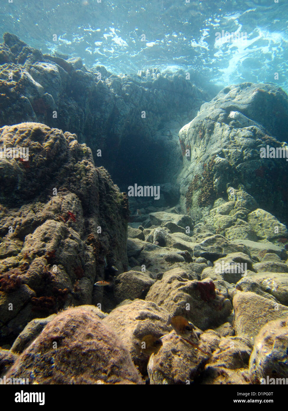 Underwater rocks hi-res stock photography and images - Alamy