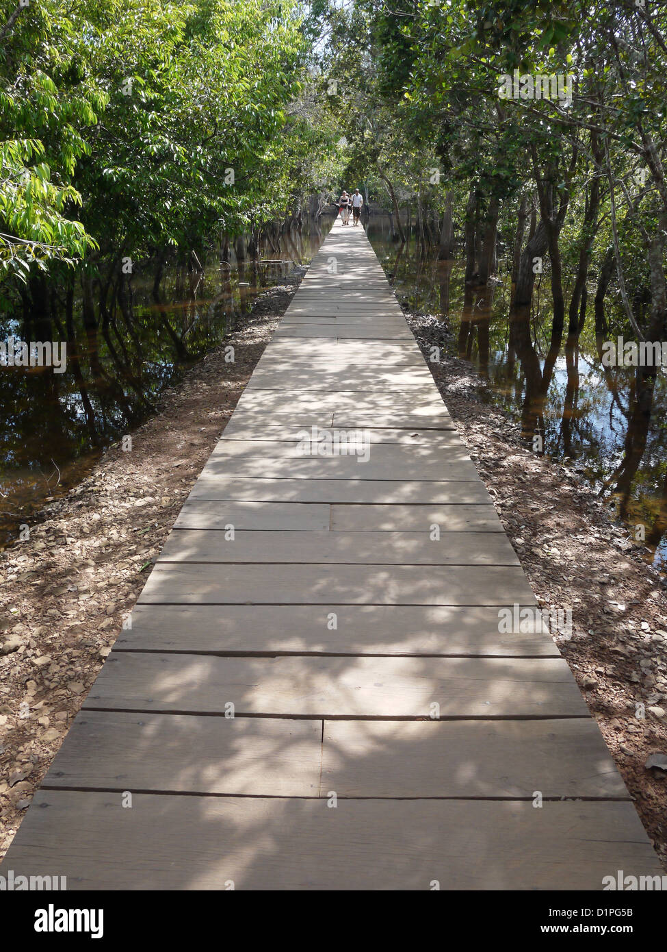 wooden walkway forest nature hiking Stock Photo - Alamy
