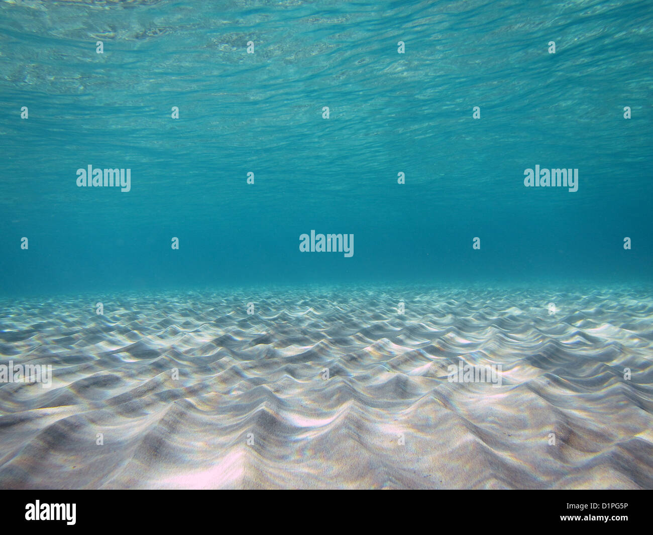 Underwater background with sun reflections Stock Photo - Alamy