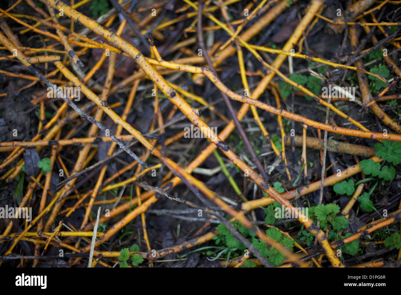 Crossed sticks hi-res stock photography and images - Alamy