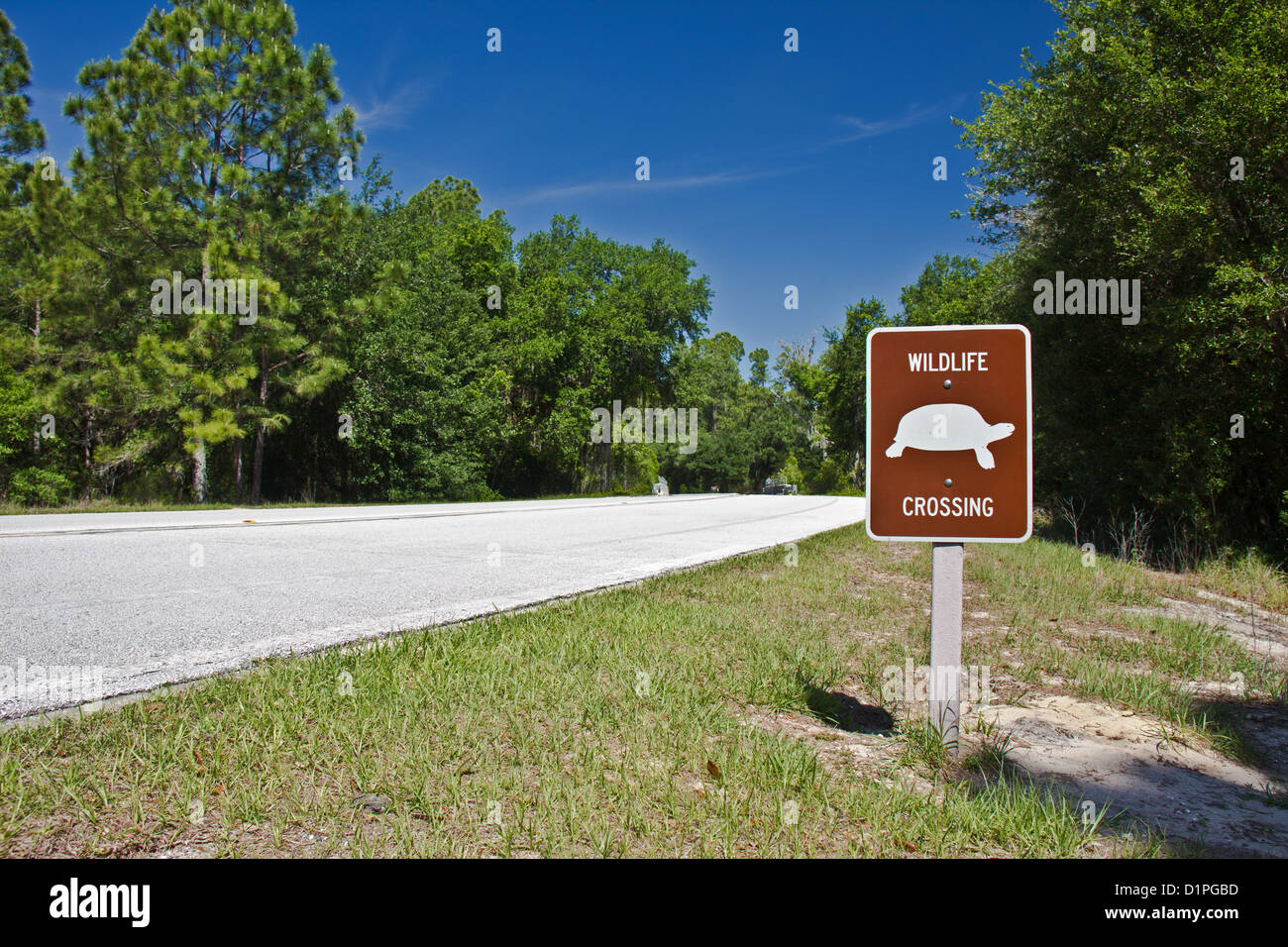 Florida state park wildlife hi-res stock photography and images - Alamy