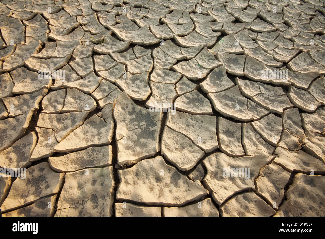 Cracked Riverbed High Resolution Stock Photography and Images - Alamy