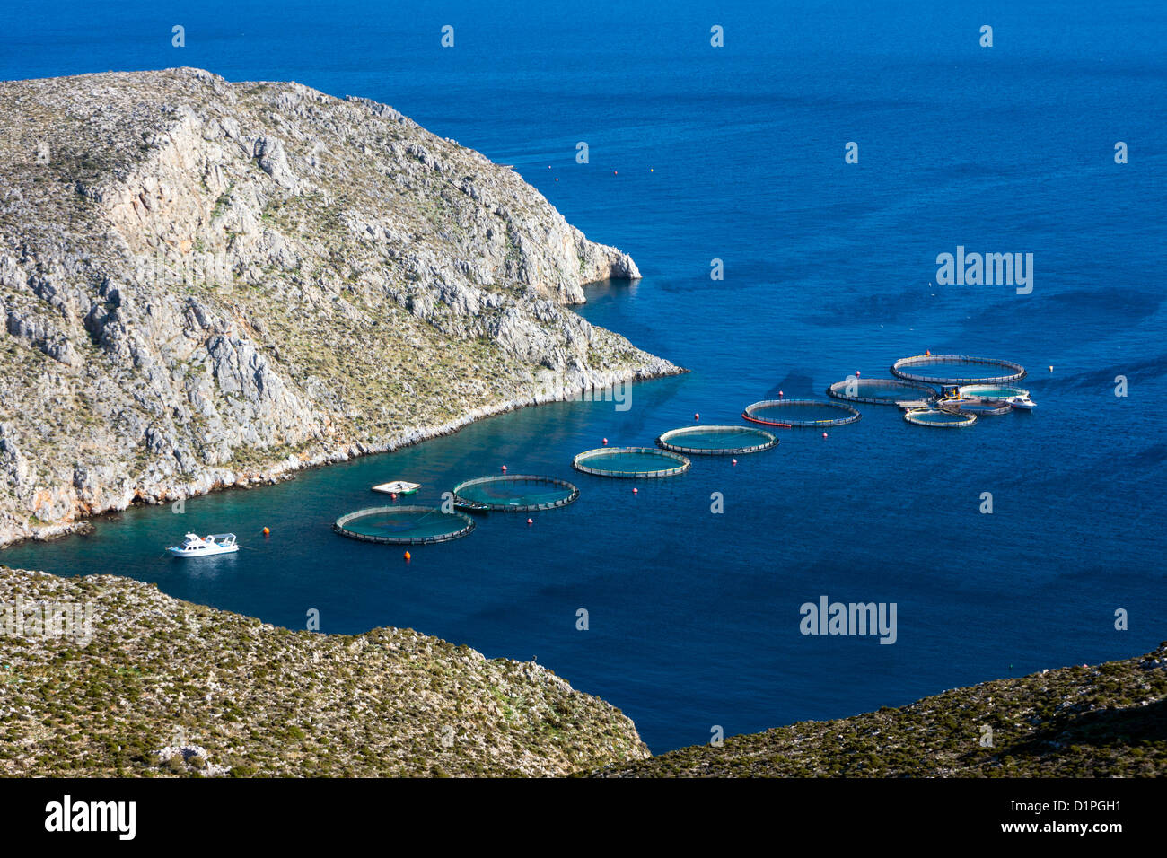 Open net fish farm hi-res stock photography and images - Alamy