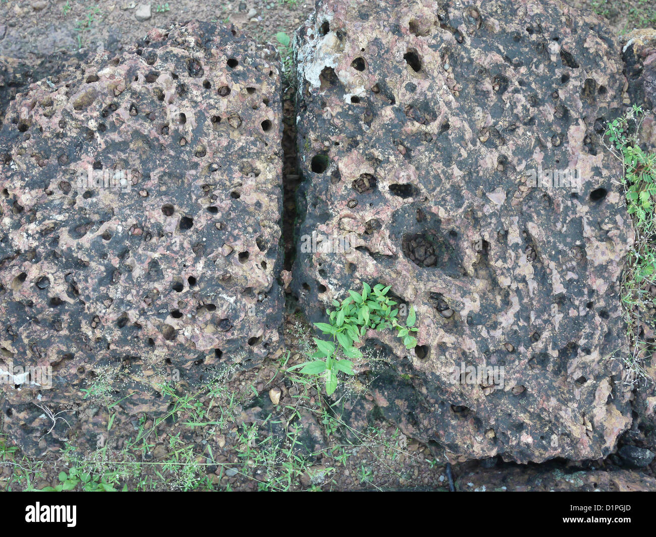 aged rock small holes Stock Photo - Alamy