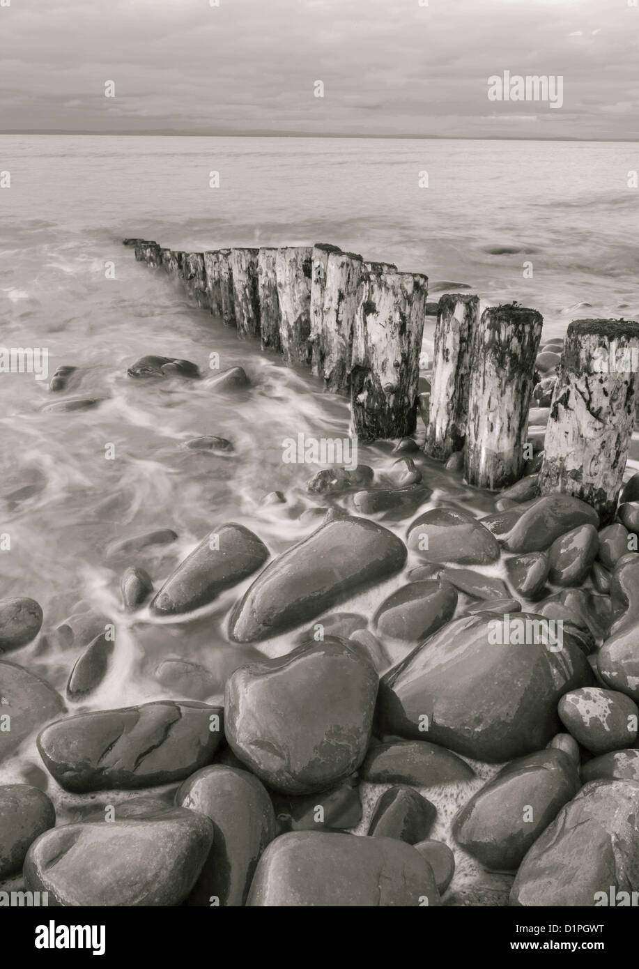Timber sea defences (groynes ) Porlock Bay, Porlock, Somerset, England ...
