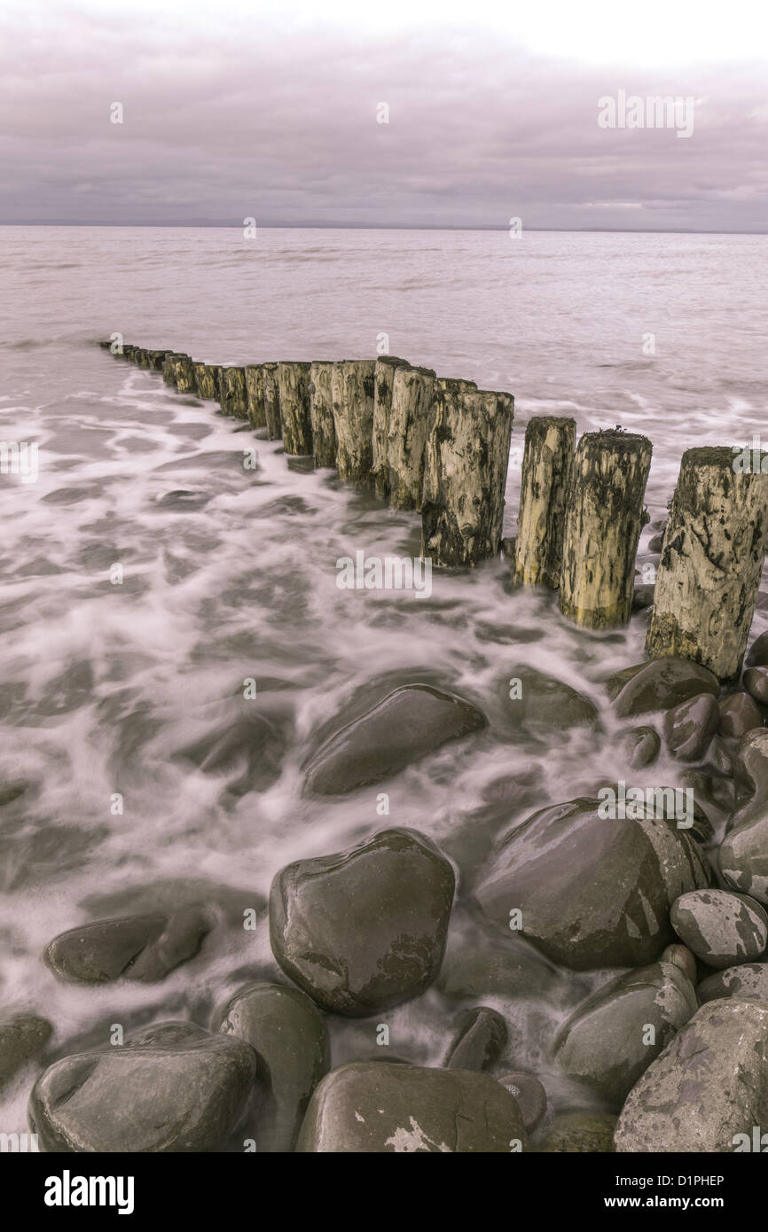 Timber sea defences (groynes ) Porlock Bay, Porlock, Somerset, England ...