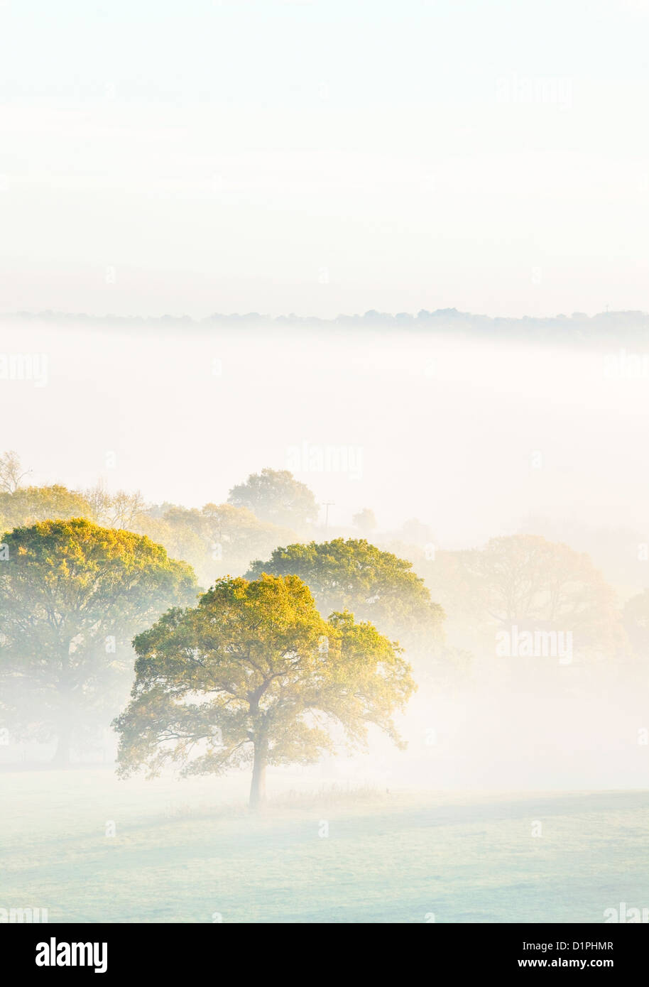 Mist worcestershire hi-res stock photography and images - Alamy