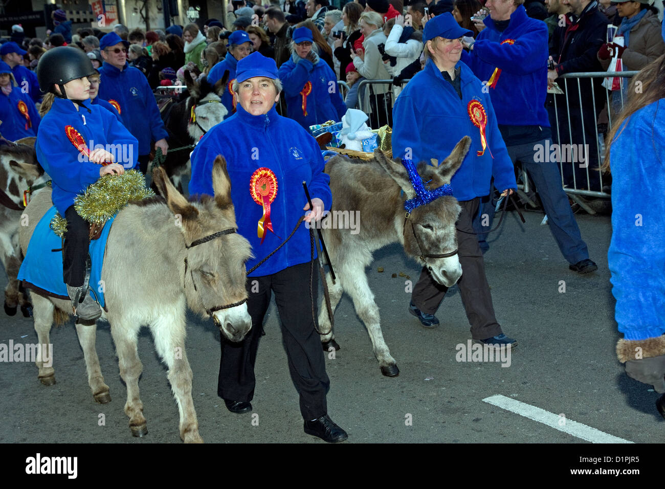 Donkeys parade hi-res stock photography and images - Alamy