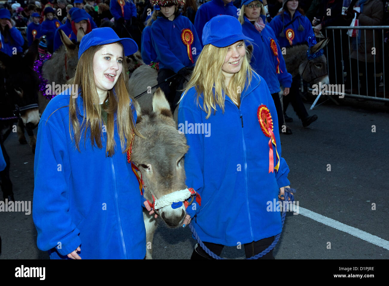 Donkeys parade hi-res stock photography and images - Alamy