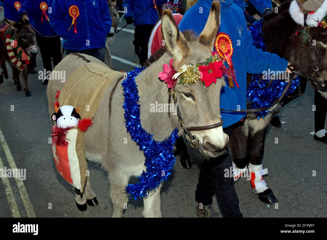 Celebration crowd donkeys parade hi-res stock photography and images ...