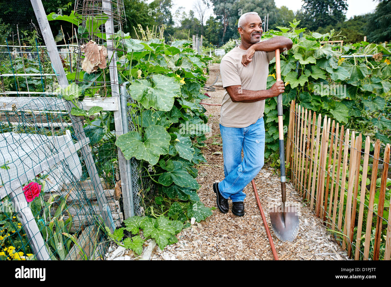 Black man leaning on shovel in community garden Stock Photo - Alamy