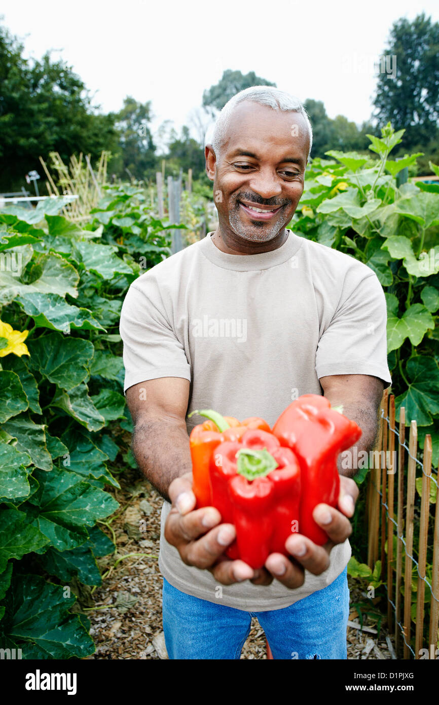 Black man holding bell peppers in community garden Stock Photo - Alamy