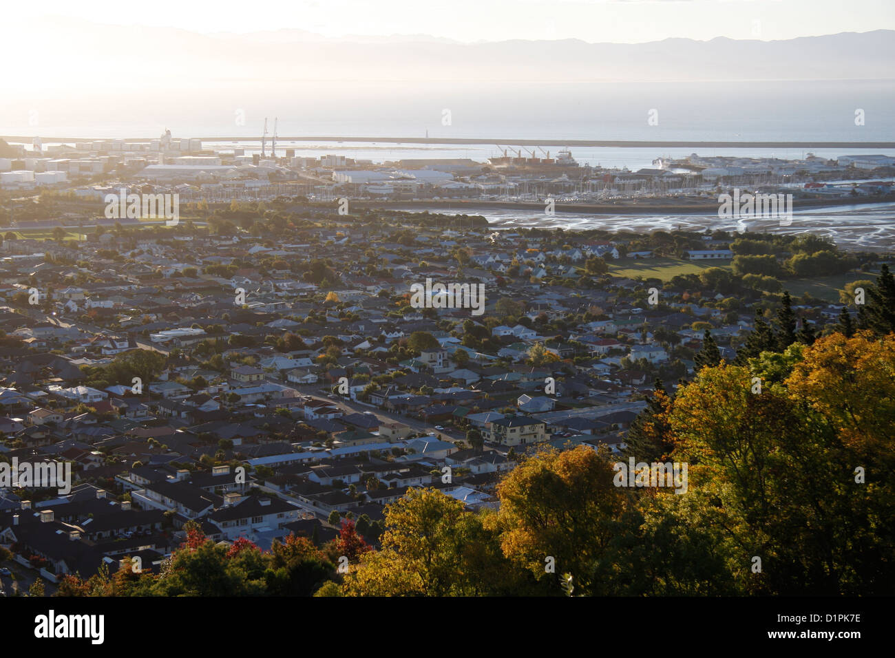 Central Nelson residences, view from Nelson Botanic Garden Stock Photo ...