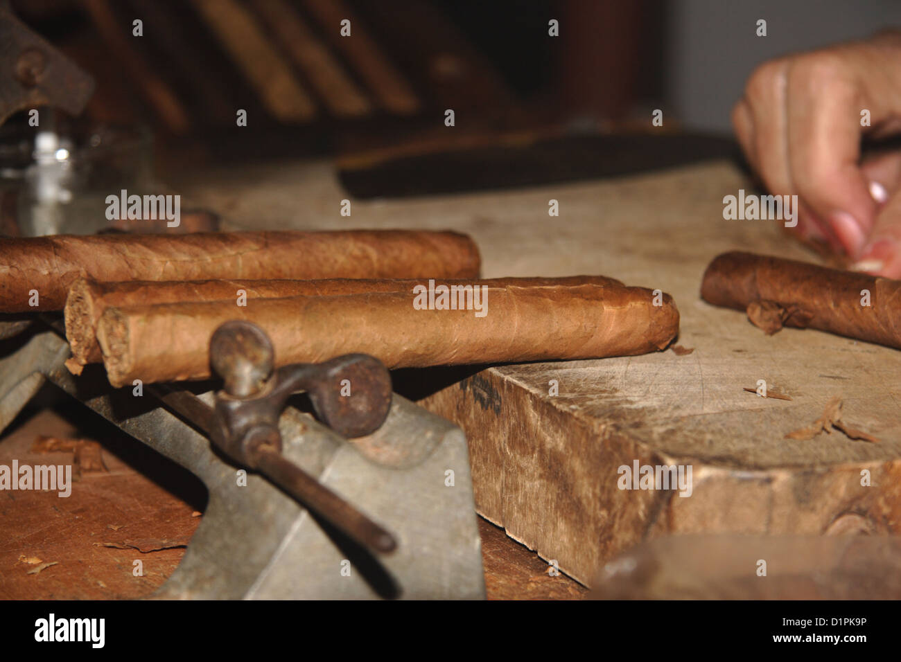 Hand rolling cigar in hi-res stock photography and images - Alamy