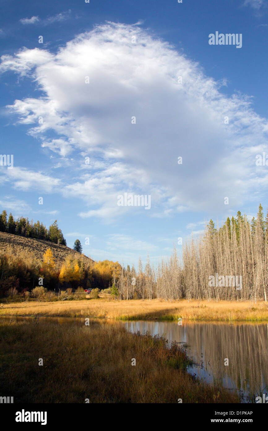 Stratus cloud hi-res stock photography and images - Alamy