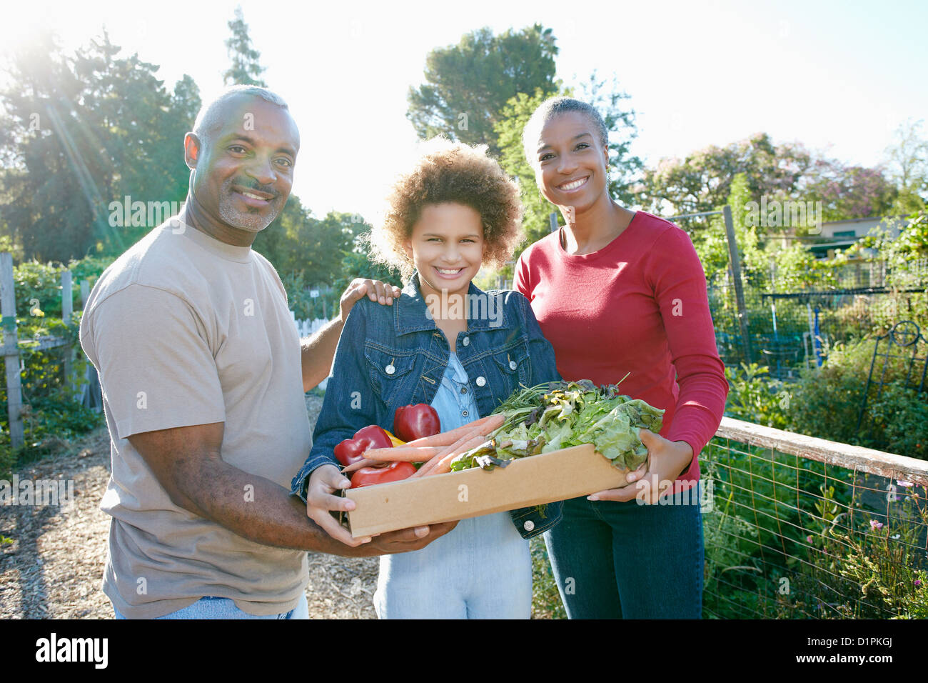 Family gathering vegetables in community garden Stock Photo - Alamy