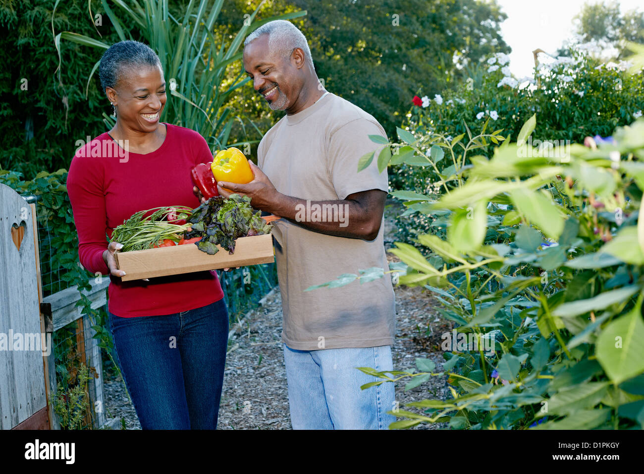 Black couple gathering vegetables in community garden Stock Photo - Alamy