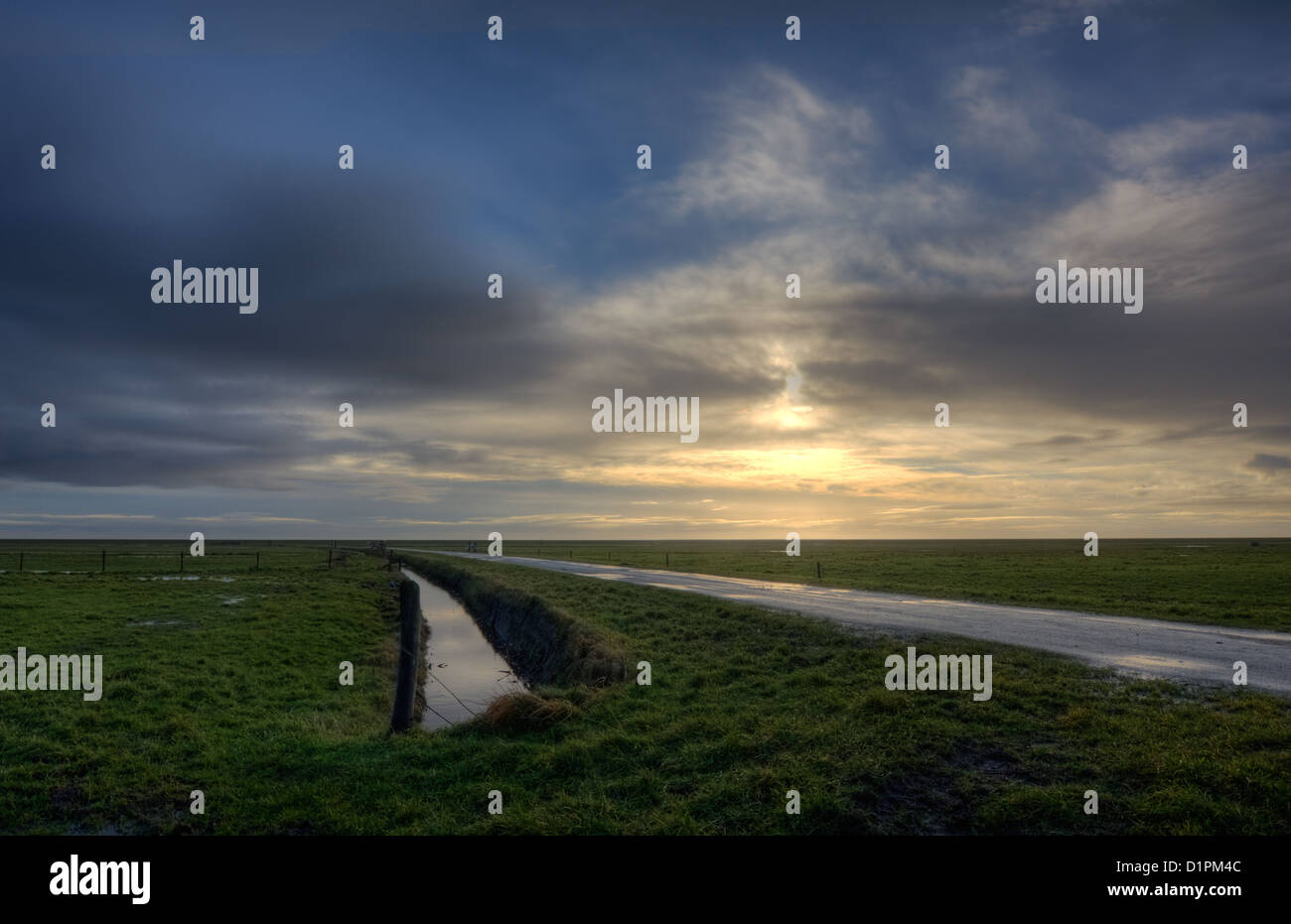 Country road and ditch on rainy day at sunrise Stock Photo - Alamy