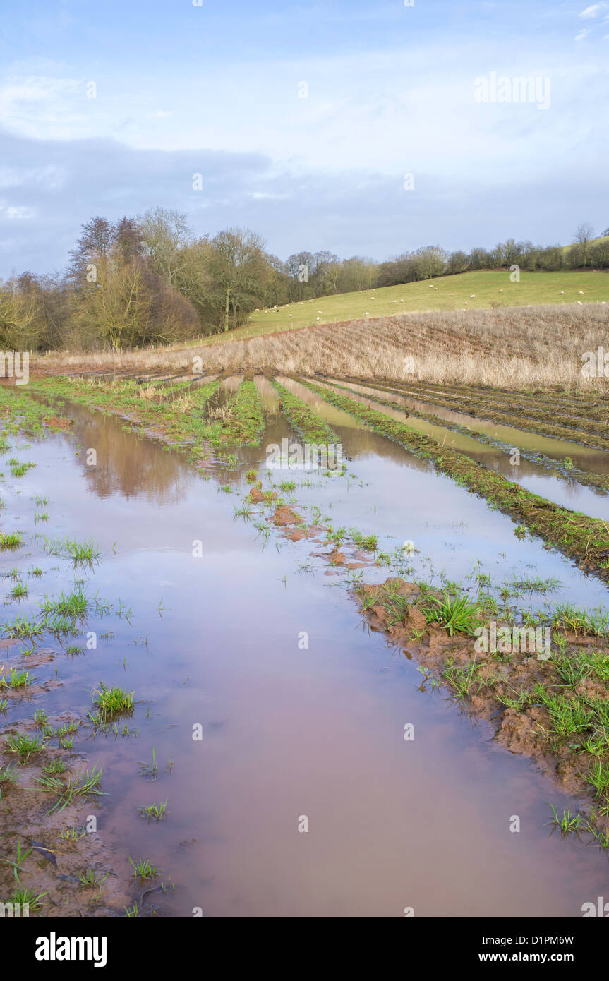 Waterlogged Fields After The Wettest Winter On Record England Uk Stock