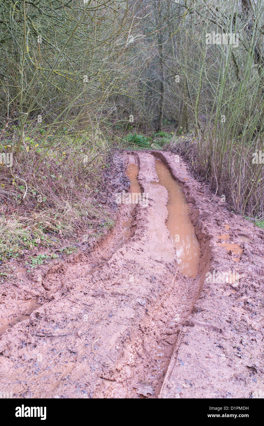 Waterlogged woodland track after the wettest winter on record, England ...