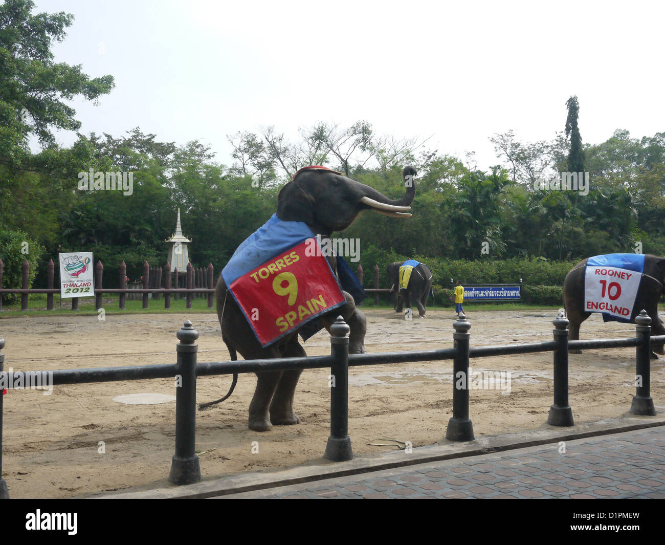 Thailand elephant show Stock Photo - Alamy