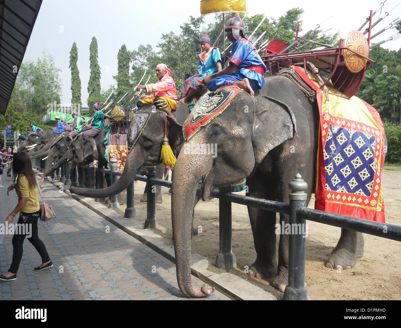 Trained elephants hi-res stock photography and images - Alamy